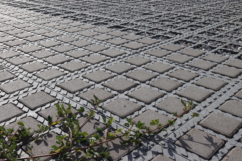 Libet Eco | libet.pl